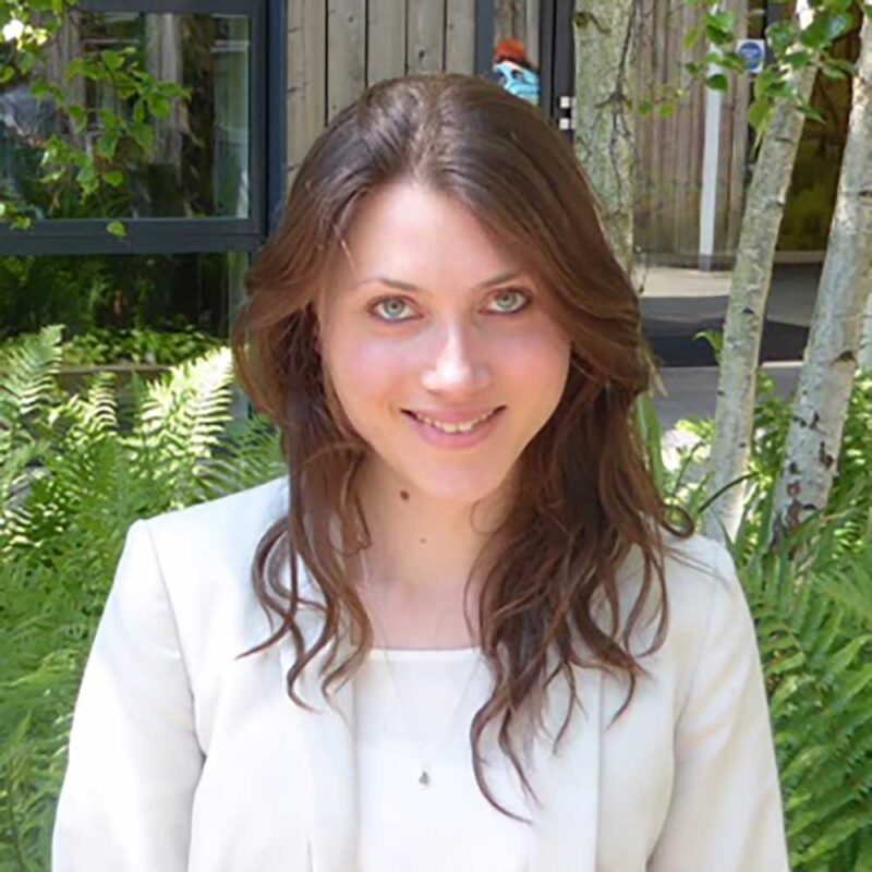 Who We Are - Sheffield Street Tree Partnership